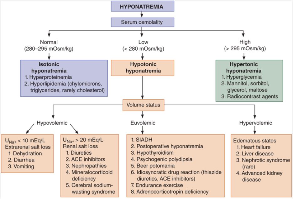 What Is SIADH My Endo Consult